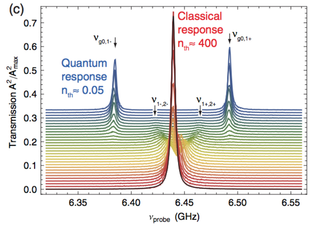 Publications | Quantum IDs